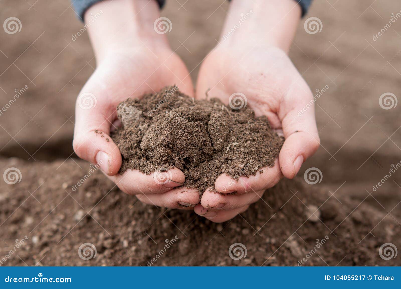 Soil in hands stock image. Image of closeup, ecology - 104055217