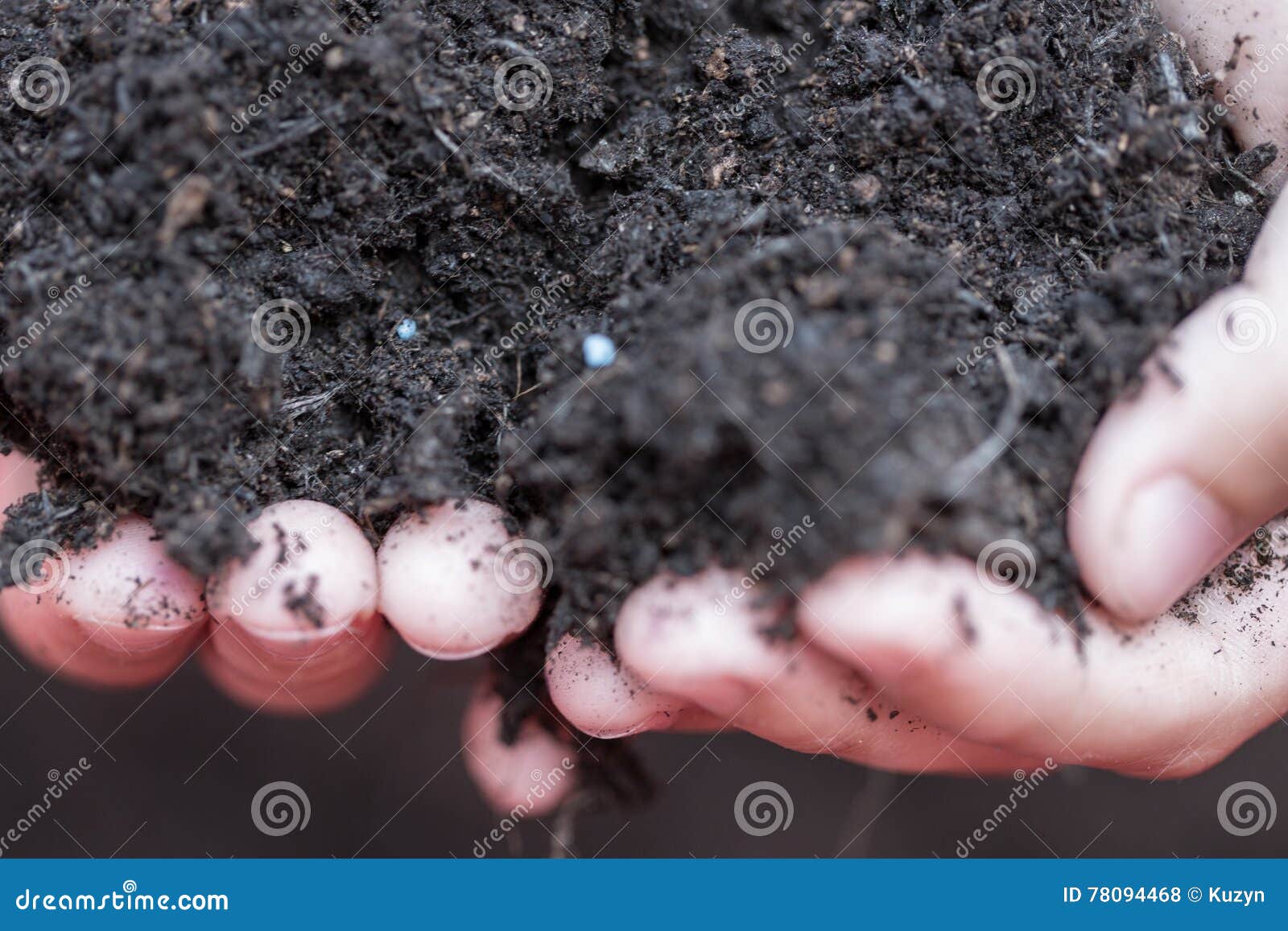 Soil in hands stock photo. Image of proud, plant, agro - 78094468