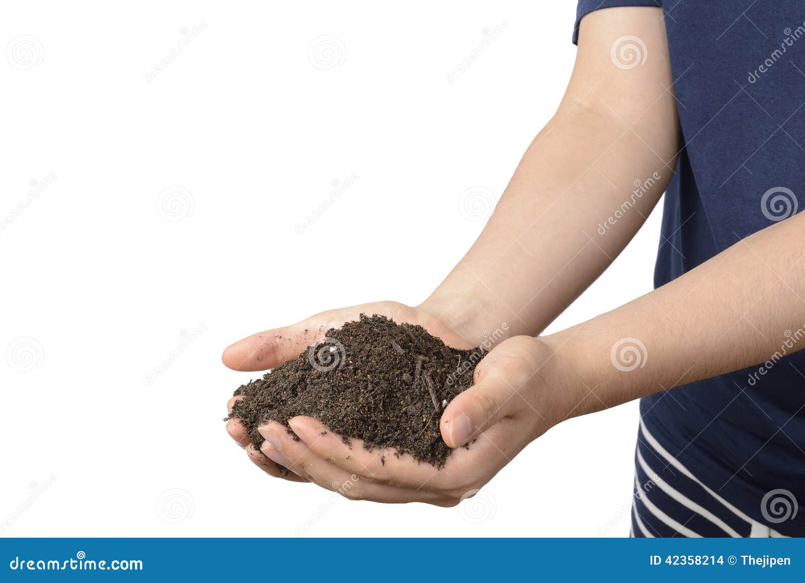 Soil on hands stock photo. Image of hands, dirt, seedling - 42358214