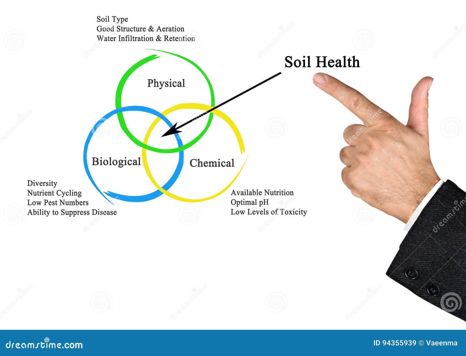 Soil Health stock image. Image of expert, biological - 94355939