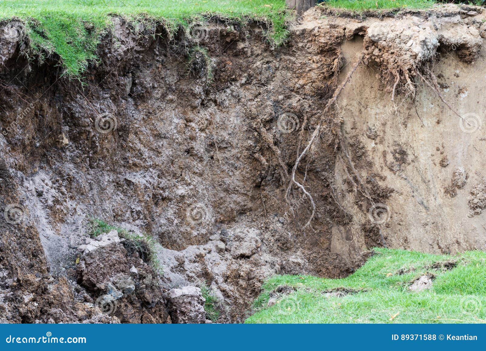 Soil Layer Erodes Water Erosion. Stock Photo - Image of fertile, green ...