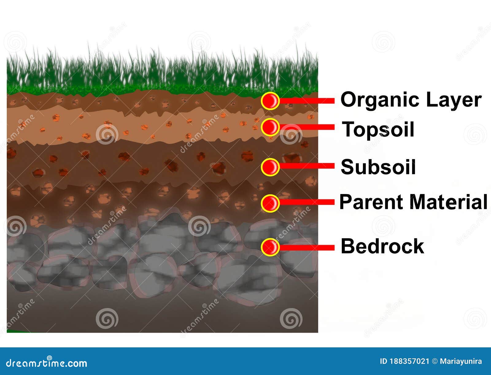 Soil Layer stock illustration. Illustration of education - 188357021 Soil Layer stock illustration. Illustration of education - 188357021