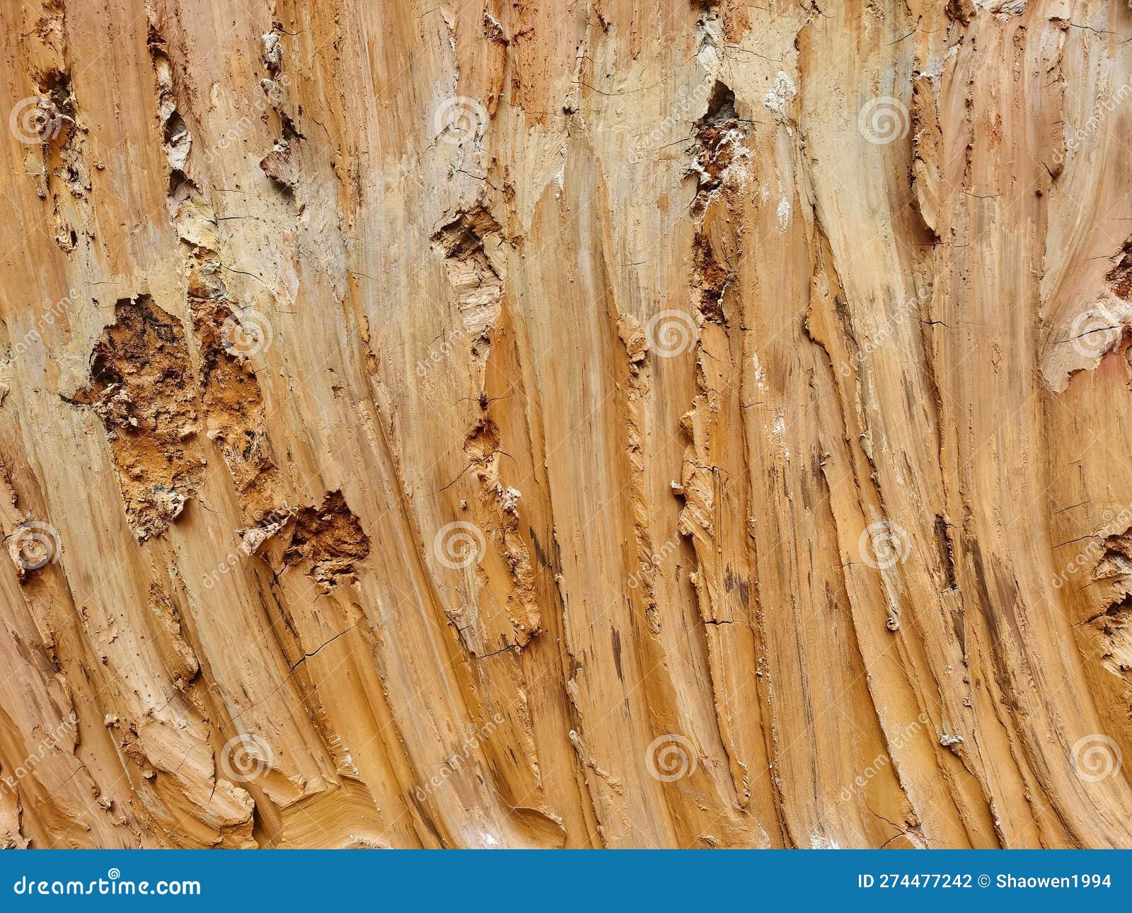 Soil Layer Texture Stock Photography | CartoonDealer.com #274477250