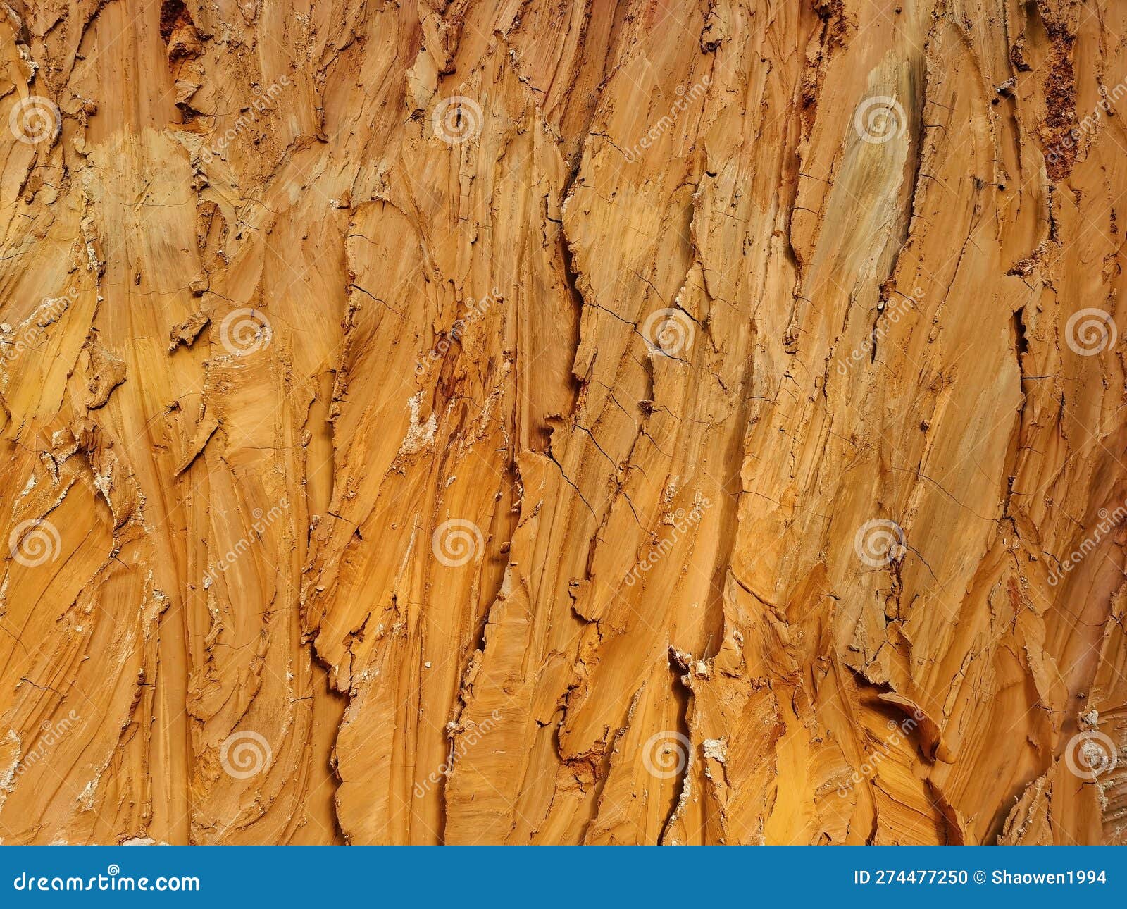 Soil Layer Texture Stock Photography | CartoonDealer.com #274477250