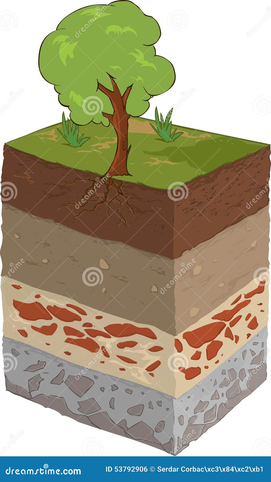 Soil layer stock vector. Illustration of layer, parent - 53792906