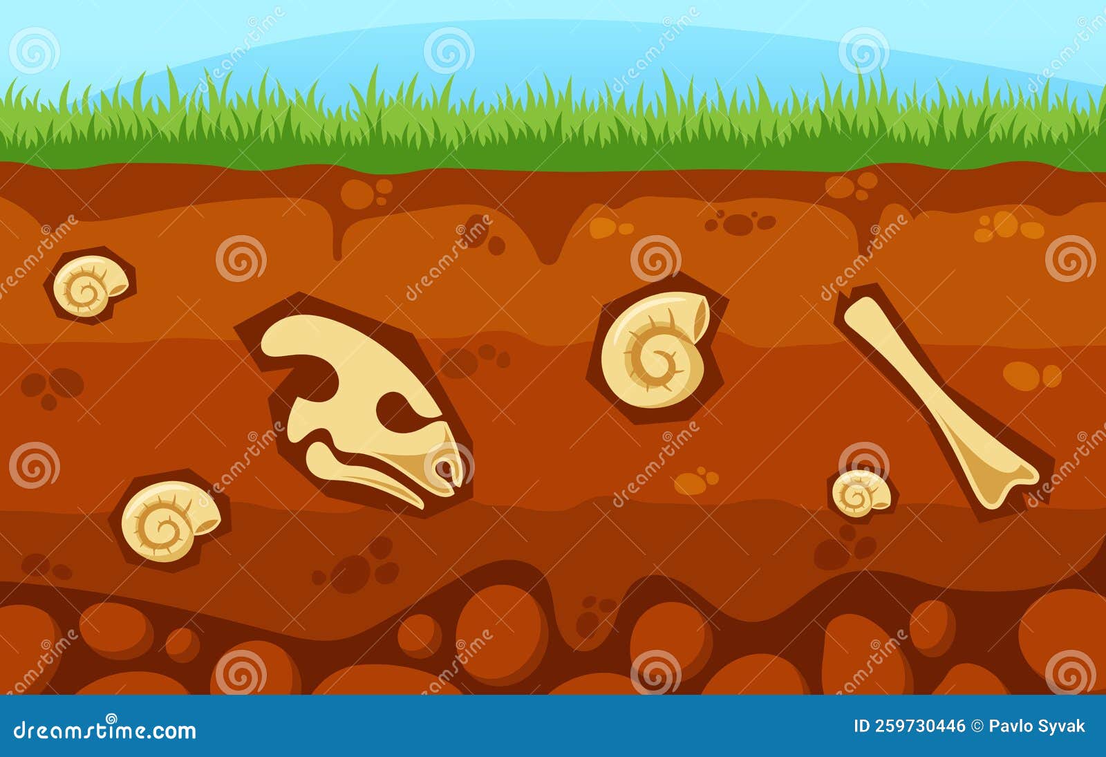 Soil Layers with Dinosaur Skeleton Skull, Bones and Ammonites. Upper ...