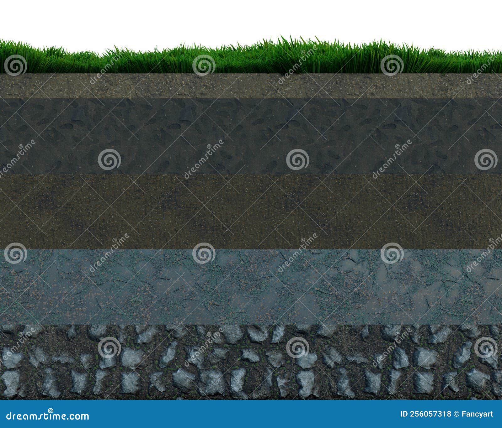 Soil Layers Profile Realistic Transverse Section Stock Illustration ...
