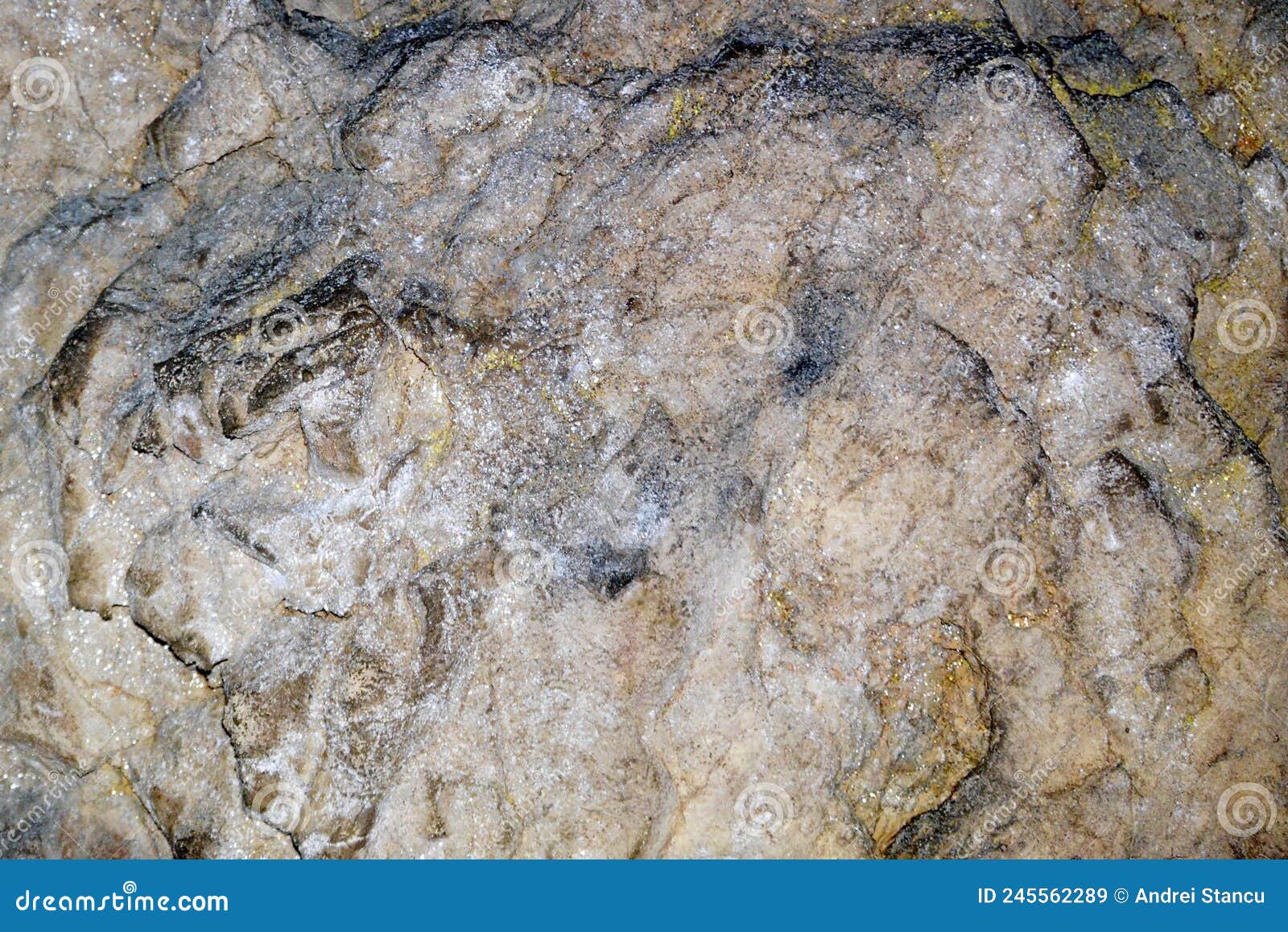 Soil Layers Stock Photography | CartoonDealer.com #108631580