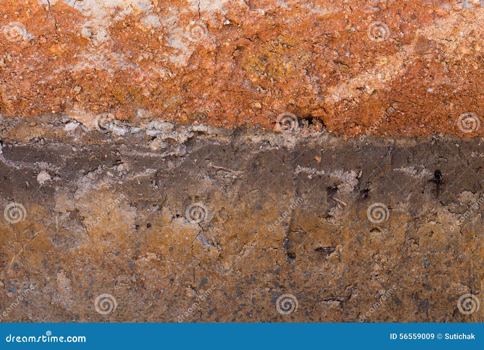 Soil Layers in Underground Earth of Science Stock Image - Image of ...