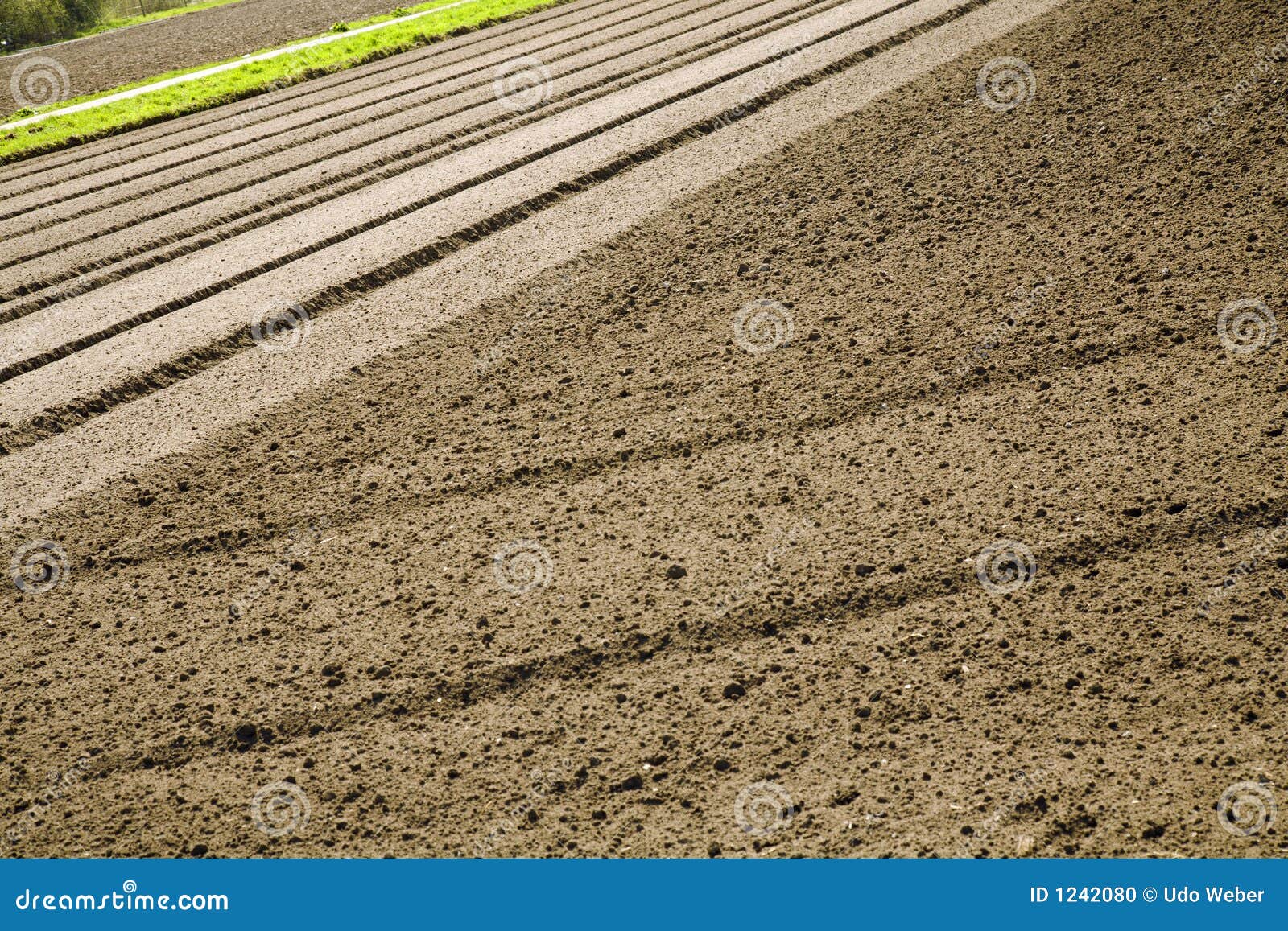 Soil and lines stock photo. Image of decorative, soil - 1242080