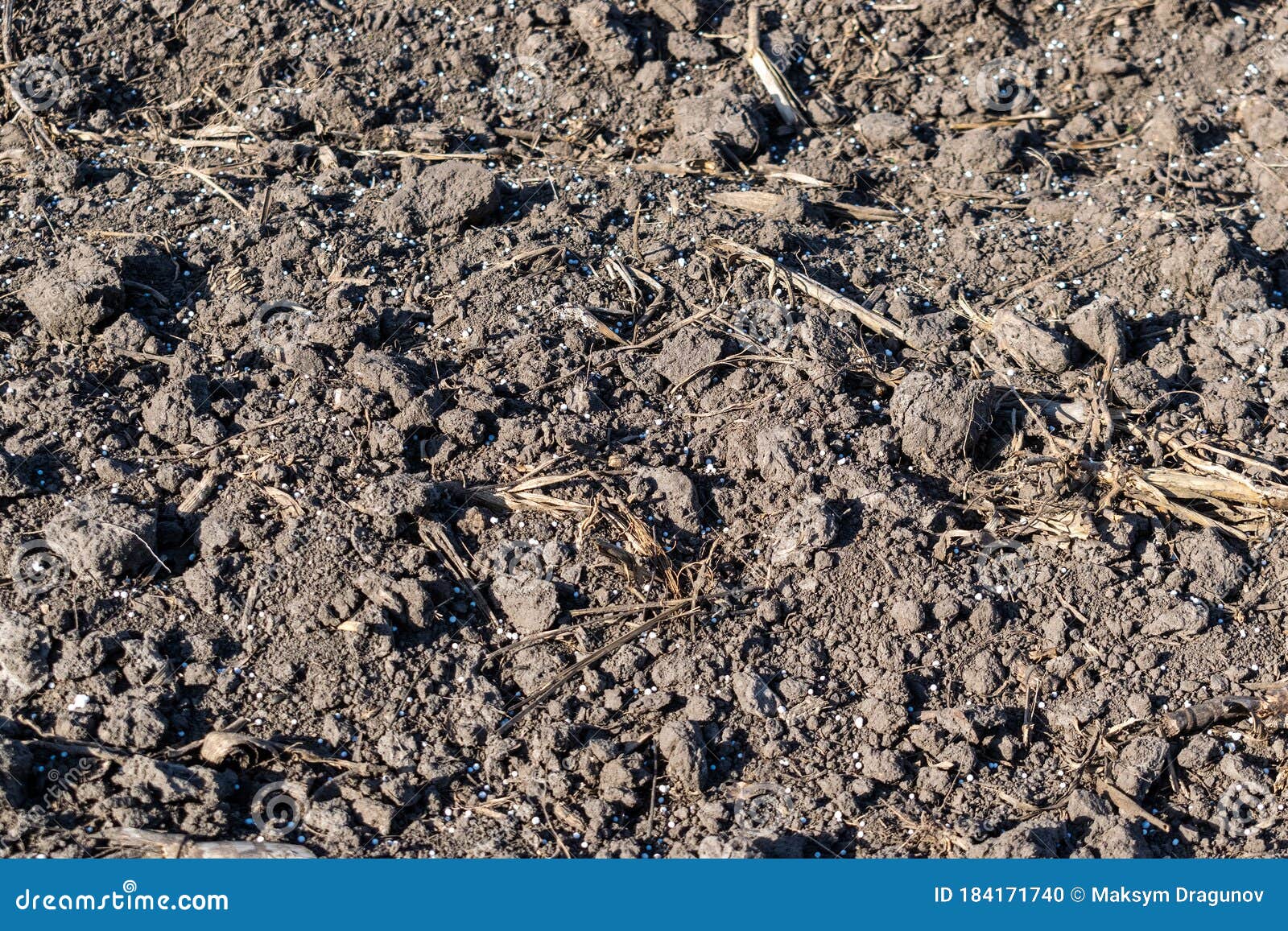 Soil with Mineral Fertilizer Stock Photo - Image of agricultural, dirt ...