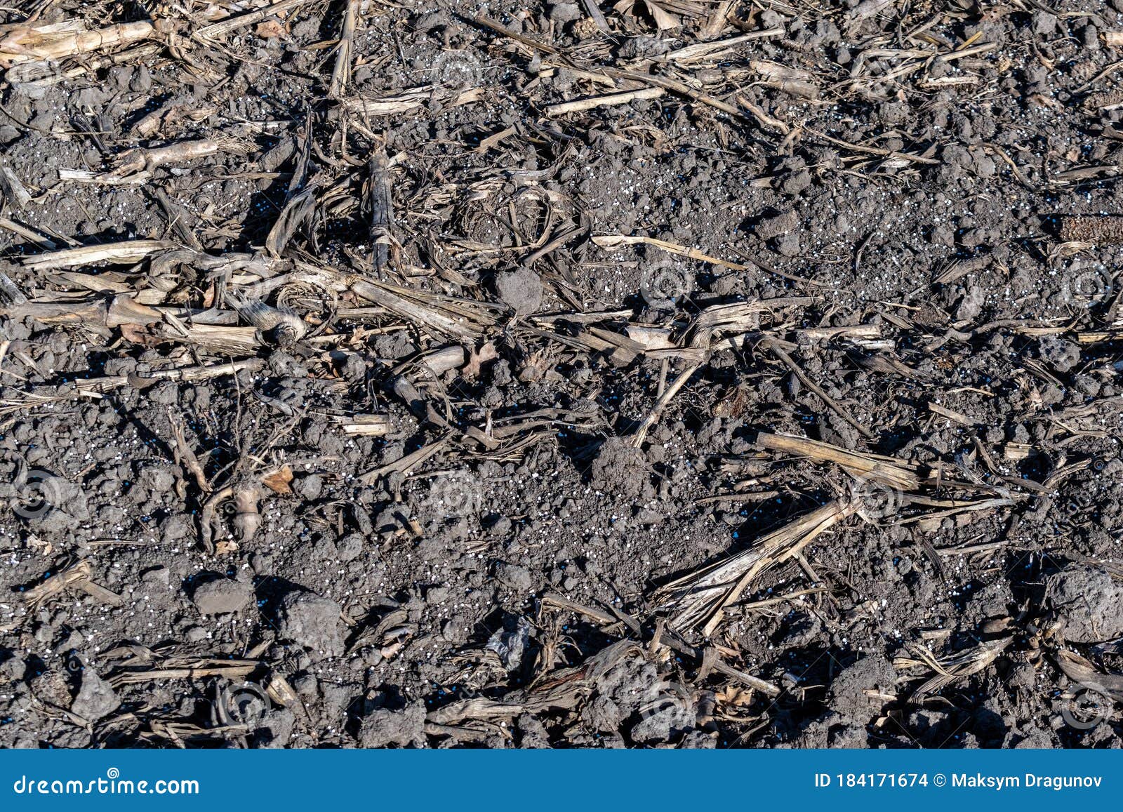 Soil with Mineral Fertilizer Stock Photo - Image of growth, tillage ...