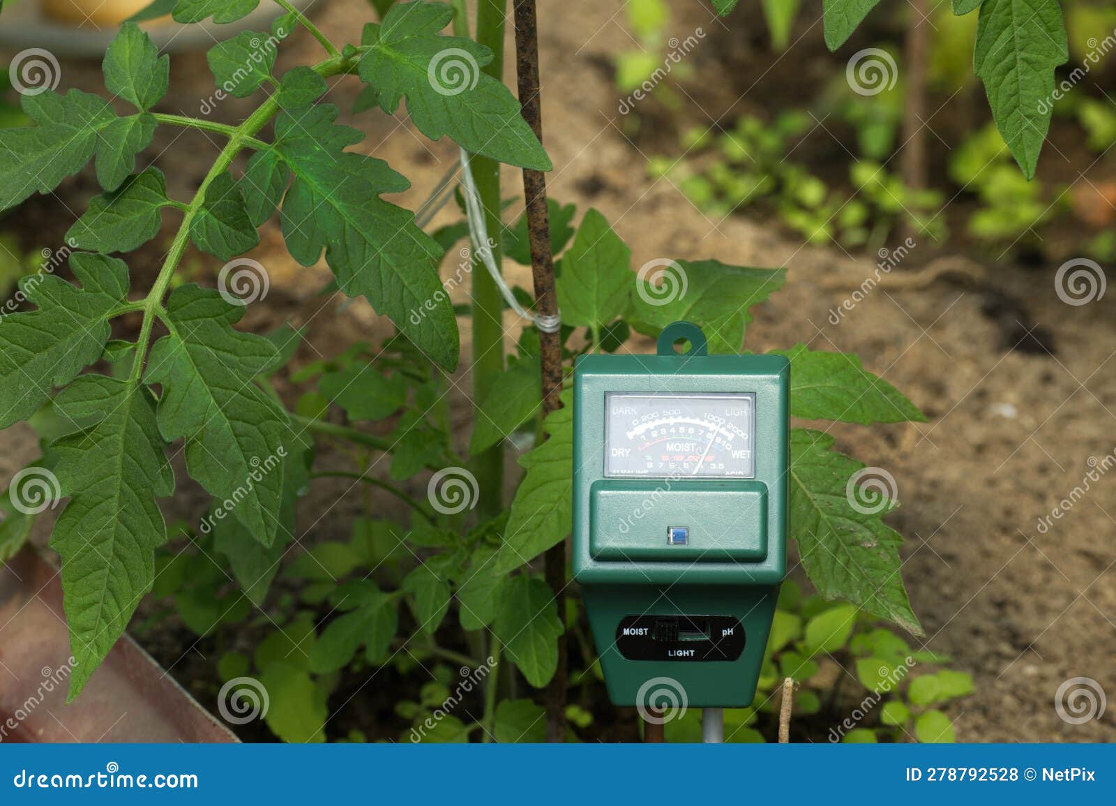 Soil Moisture, Light Intensity and PH Testing Meter Stock Photo - Image ...
