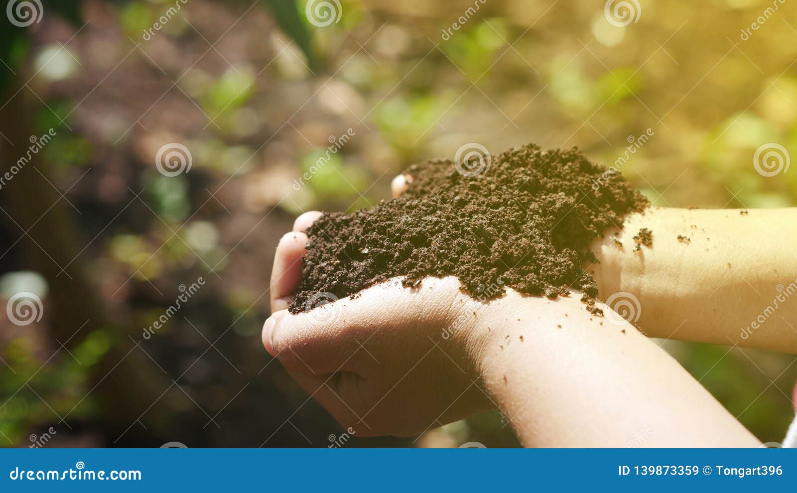 Soil in hand stock image. Image of falls, black, decisive - 139873359