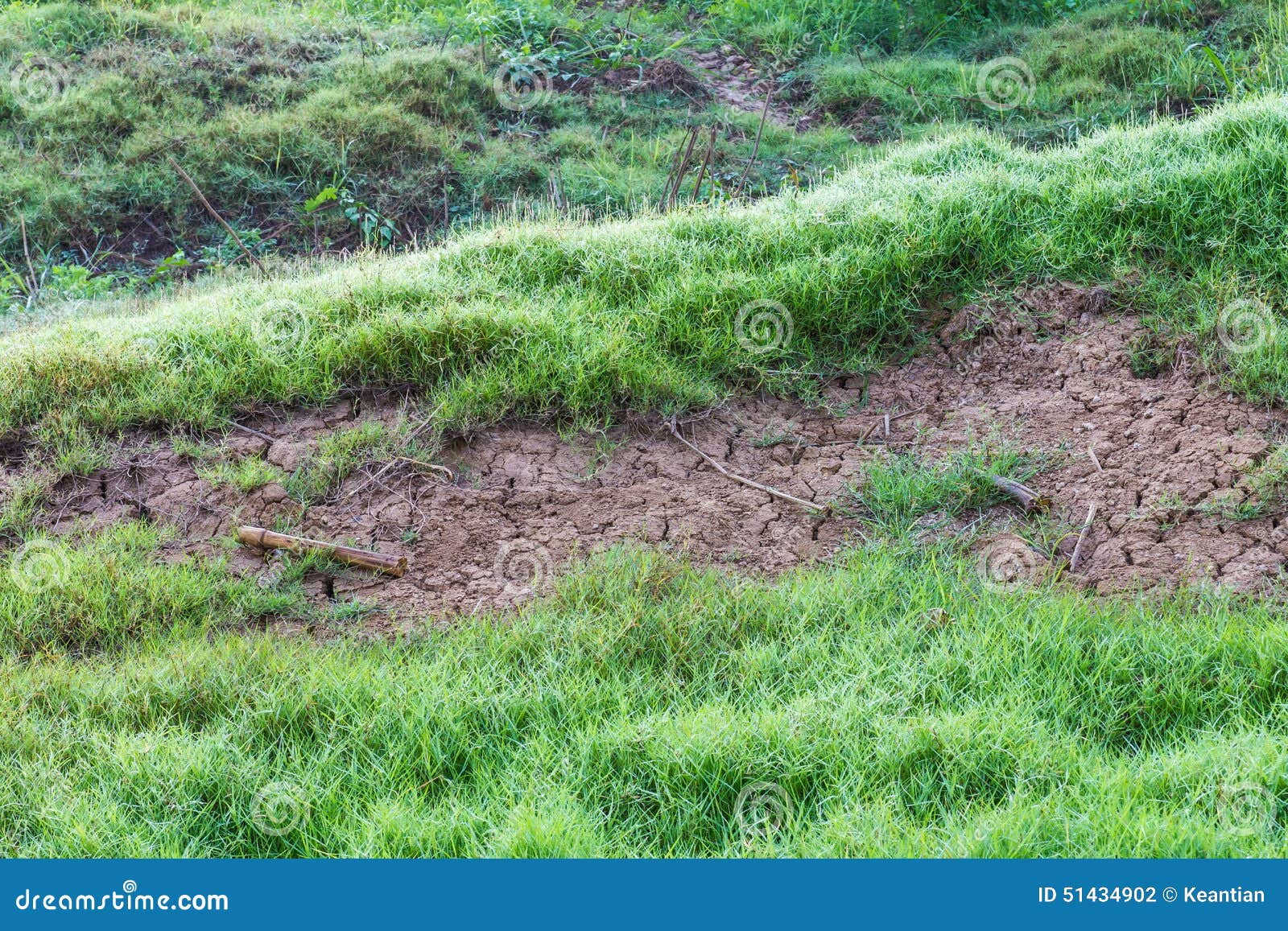 Soil parched grass stock photo. Image of fertile, dirt - 51434902
