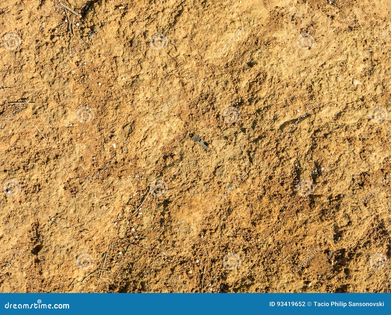 Soil pattern stock photo. Image of land, draught, brown - 93419652