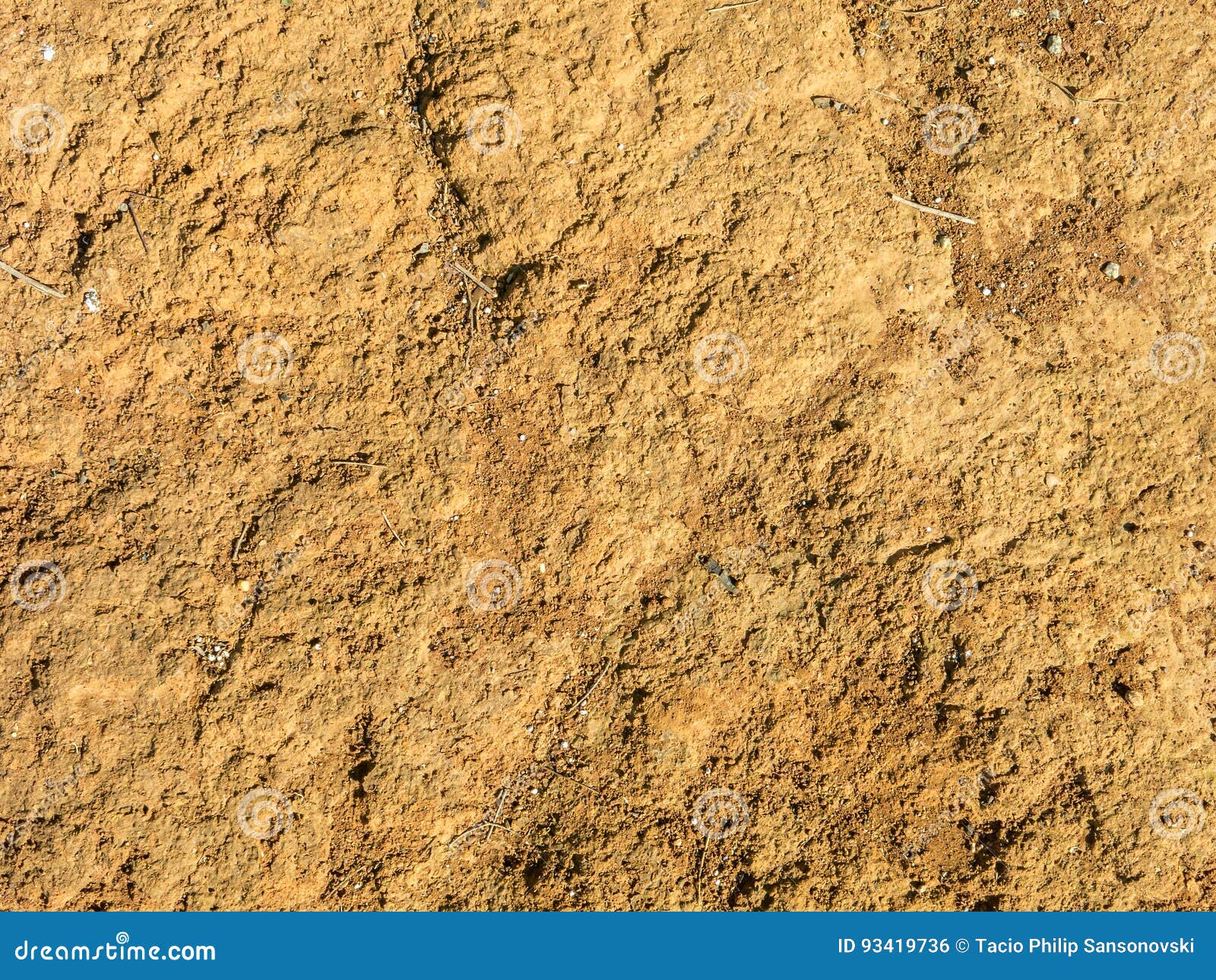 Soil pattern stock photo. Image of brown, sand, water - 93419736
