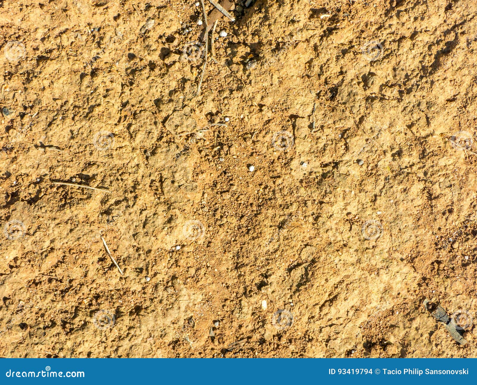 Soil pattern stock photo. Image of brown, soil, dirt - 93419794
