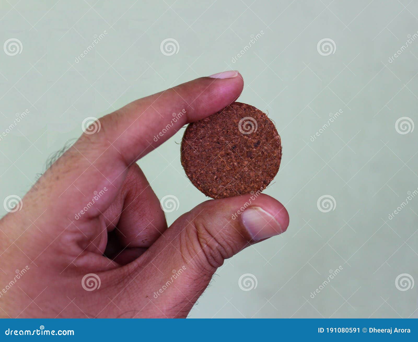 Soil Pellet for Seed Germination Stock Image - Image of pellet, coco ...