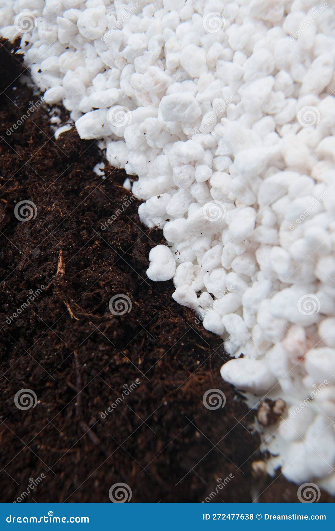 Soil and Perlite for Plants. Neutral Material of Volcanic Origin Stock ...