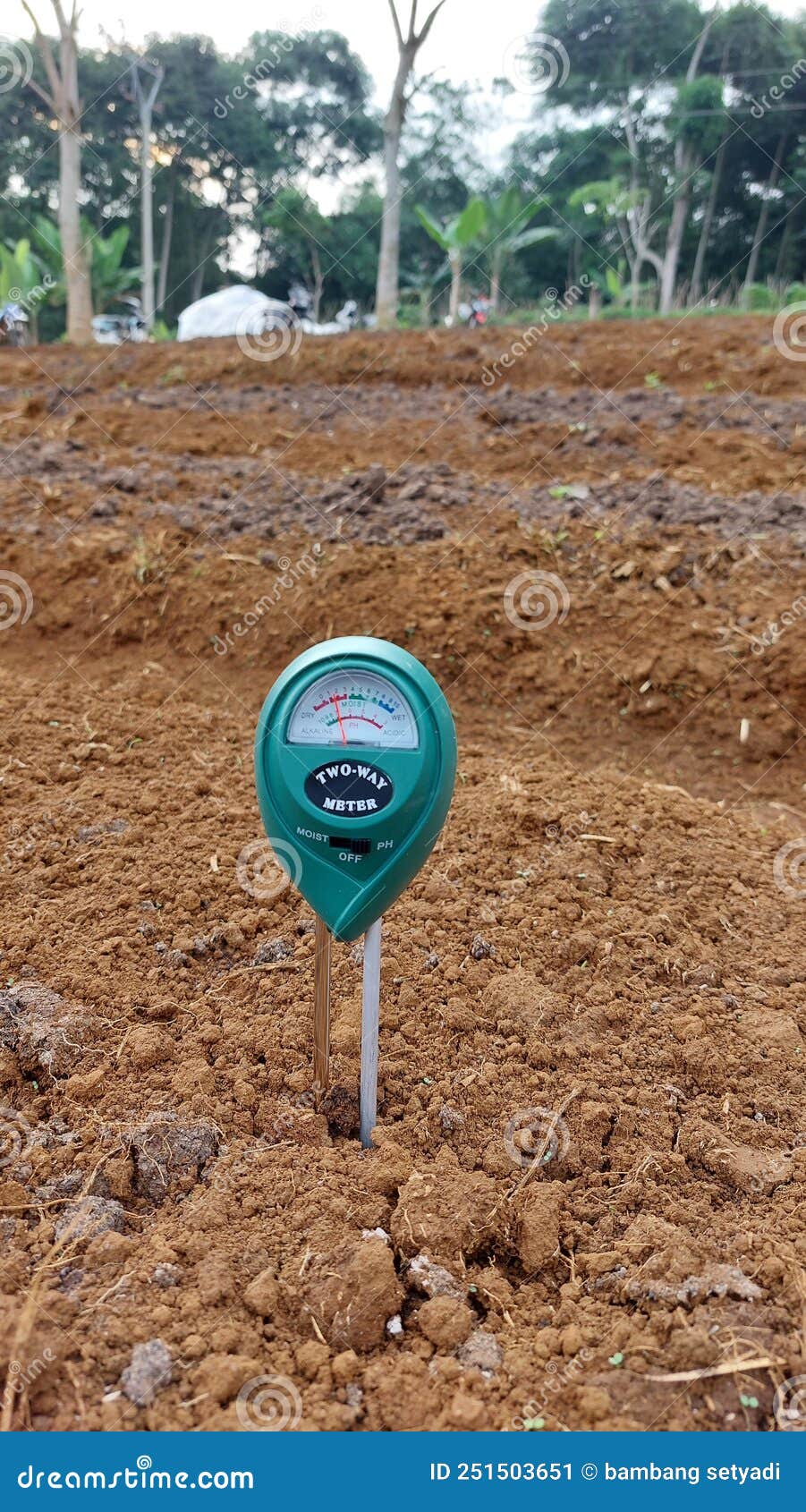 Measurement Of Soil Temperature. The Thermometer Shows The Temperature Plus 14 Degrees Celsius ...