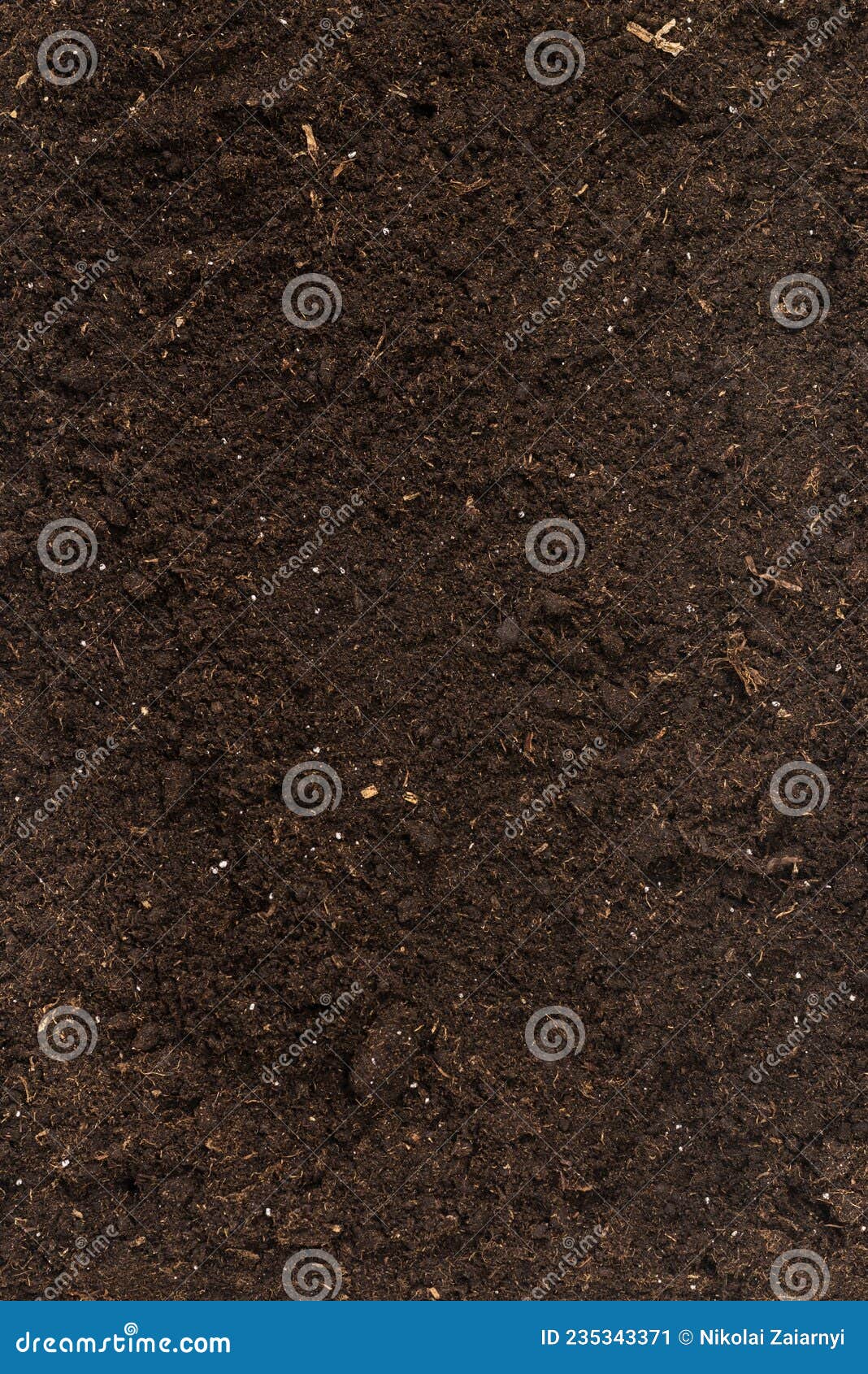 Soil for Plant Isolated on White Background Stock Image - Image of ...