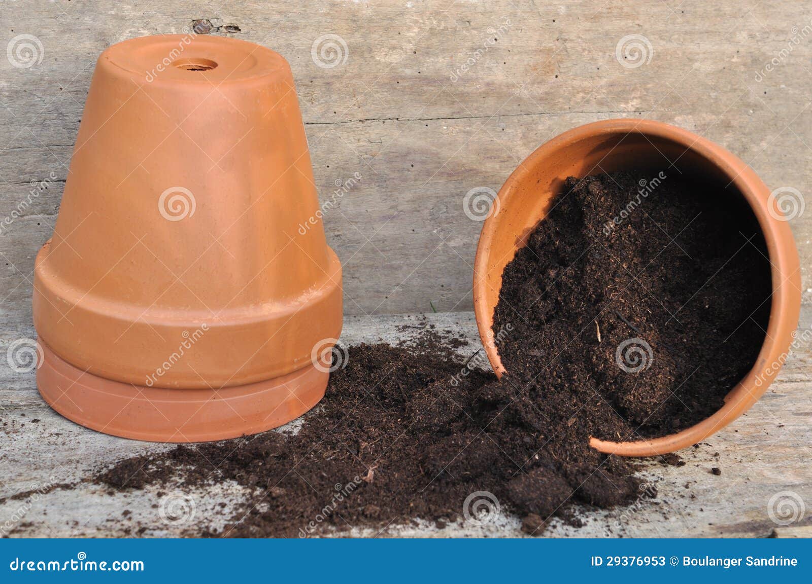 Soil in a Pot for Repotting Stock Image - Image of potting, repotting ...