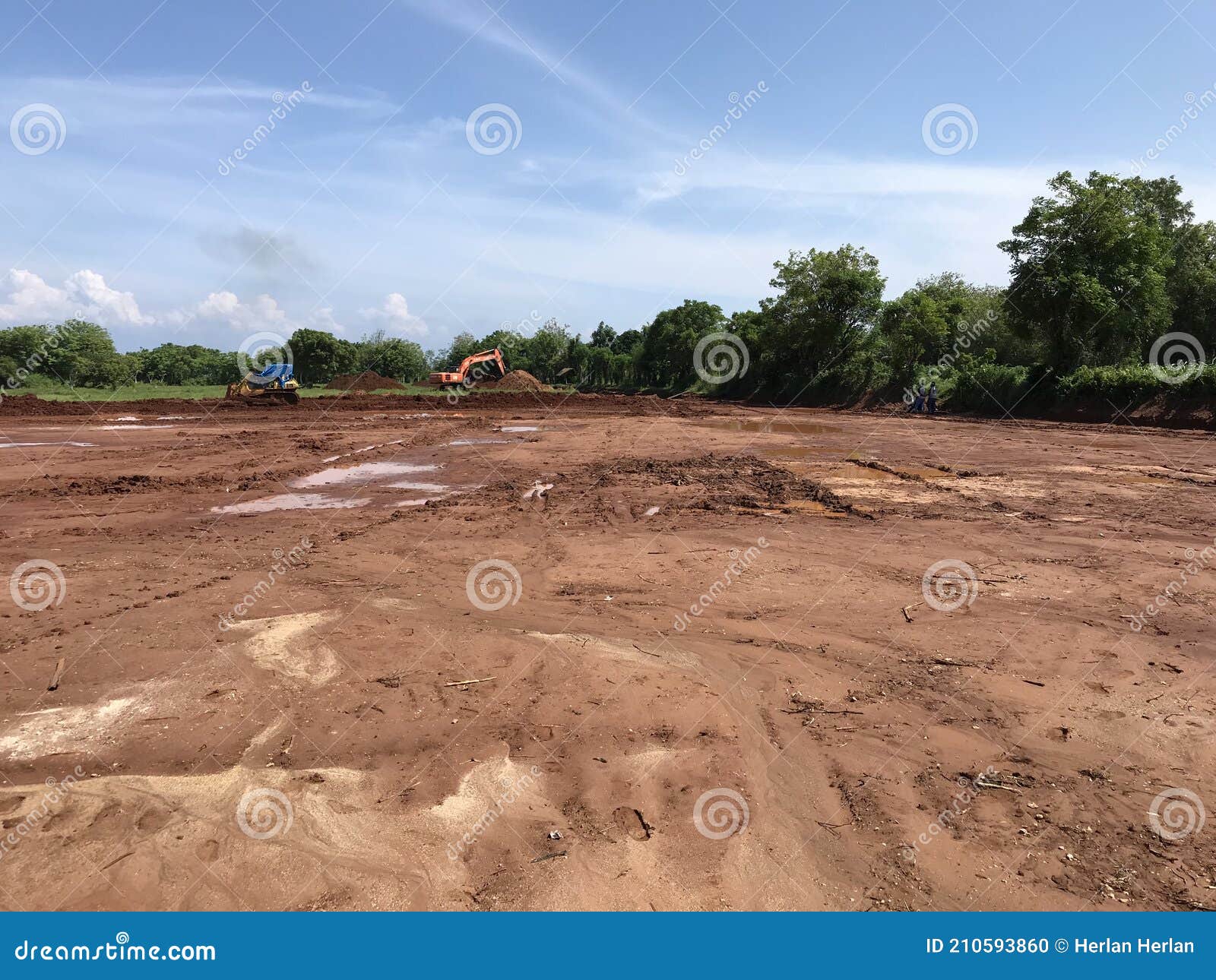 Soil in prairie stock photo. Image of soil, tree, sand - 210593860