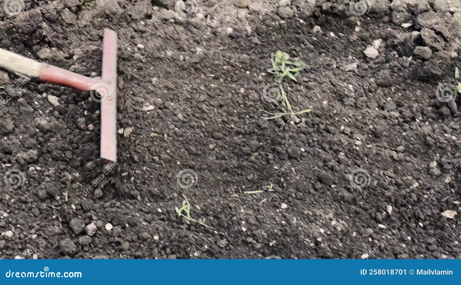 Soil Preparation in the Garden with a Rake Stock Video - Video of rural ...