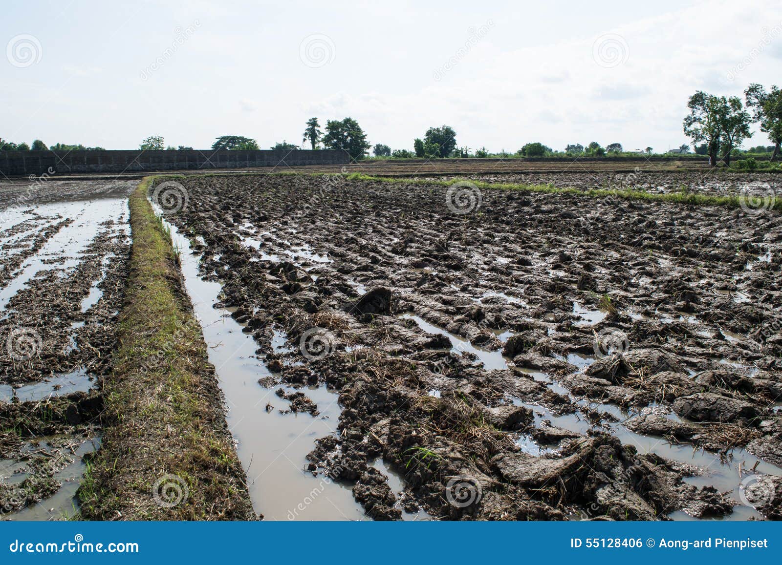 The soil preparation stock photo. Image of crop, flood - 55128406