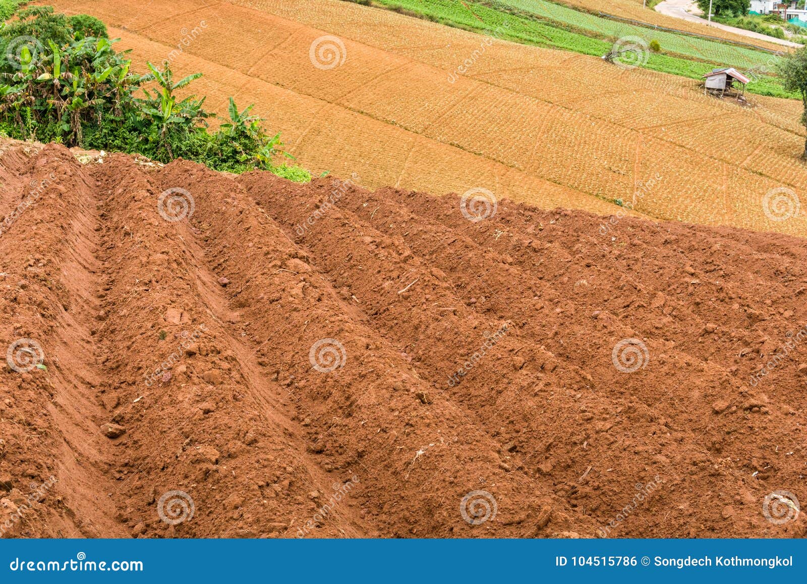 Soil preparation stock photo. Image of view, field, cultivation - 104515786