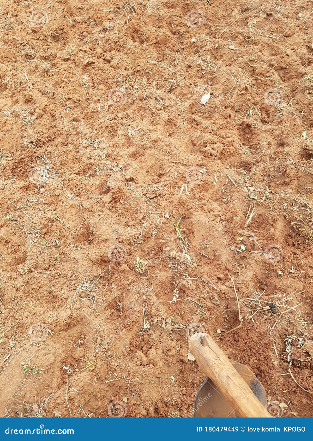 Groundnut Project Stock Photos - Free & Royalty-Free Stock Photos from ...