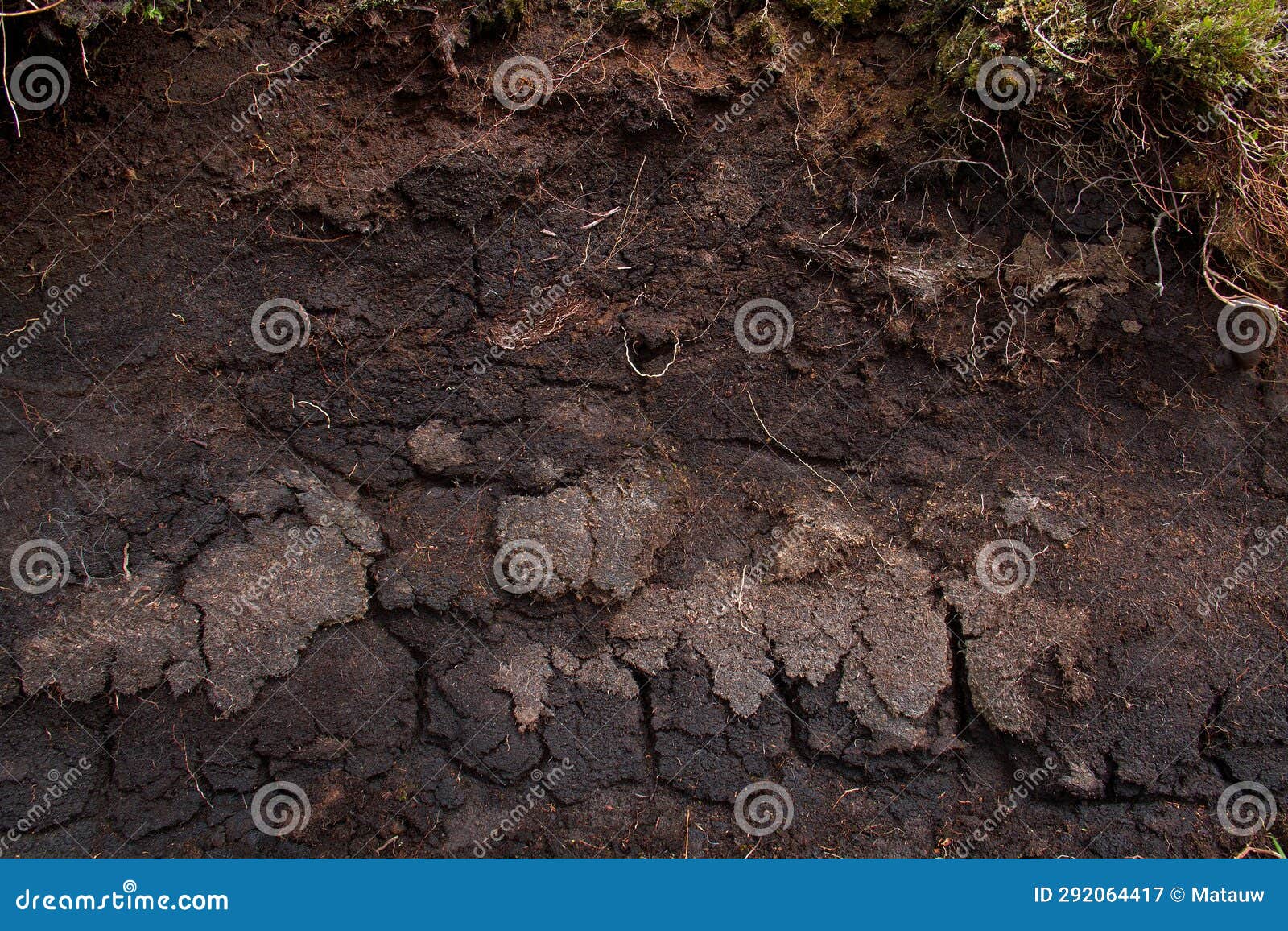 Soil Profile Consisting of Peat Stock Image - Image of reminders, rough ...