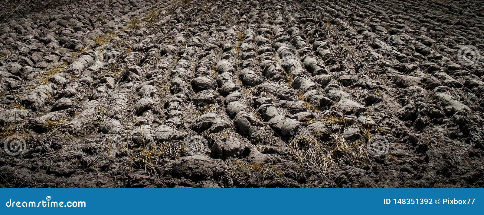 Soil in Farm, Preparation for Plantation Stock Photo - Image of farm ...
