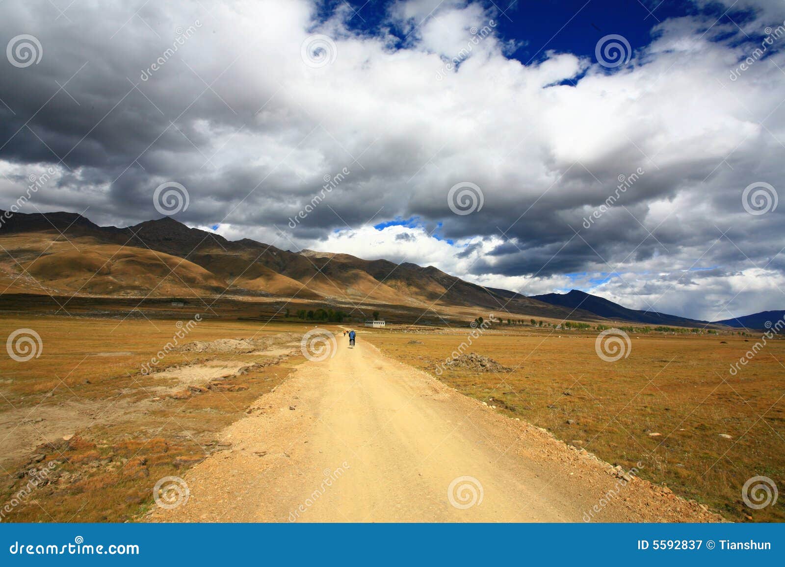 Soil road stock image. Image of harvest, capricious, path - 5592837