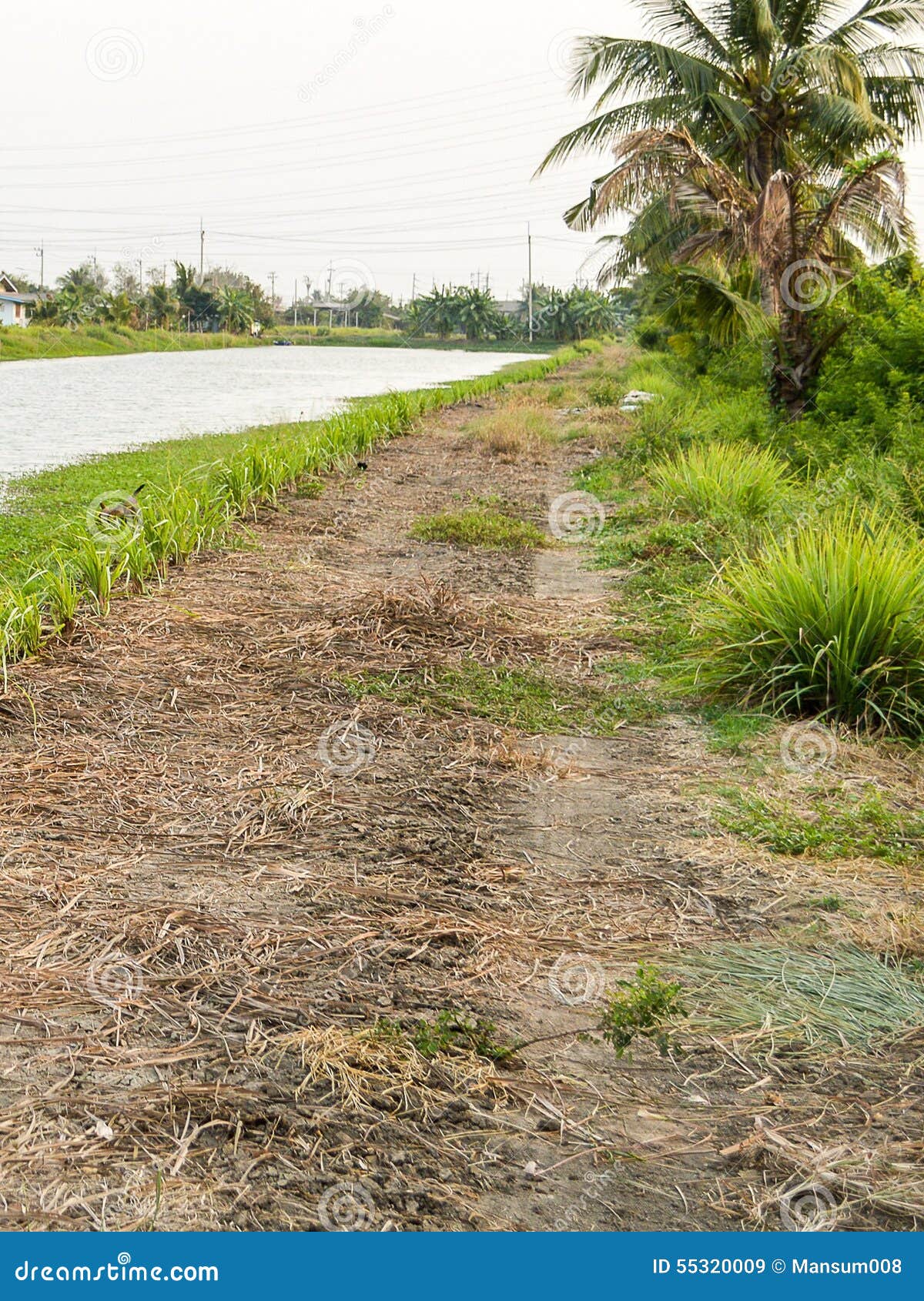 Soil road stock image. Image of agriculture, outdoor - 55320009