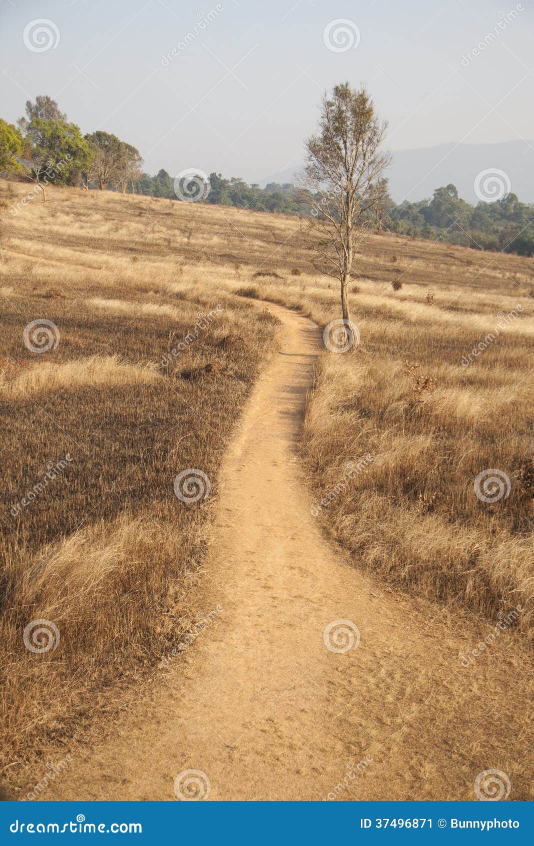 Soil road stock image. Image of road, paths, foot, trails - 37496871