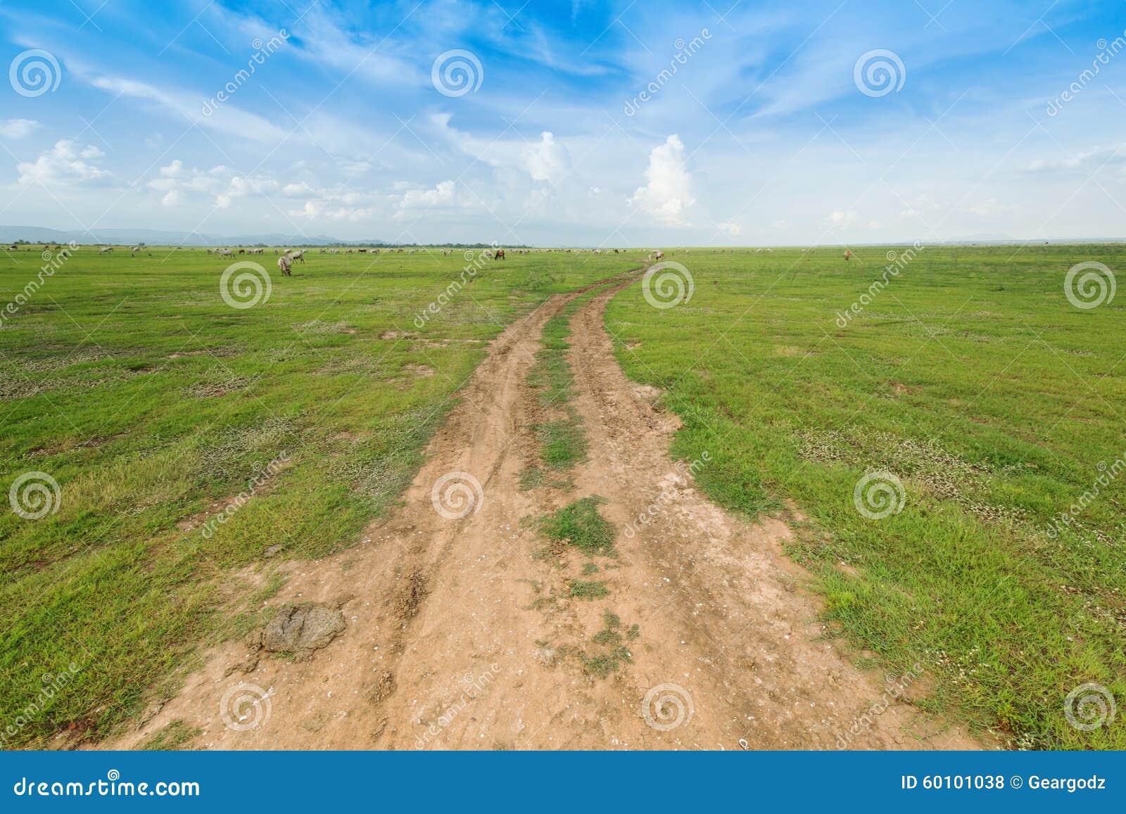 Soil Road between Grass Field Stock Photo - Image of meadow, ground ...