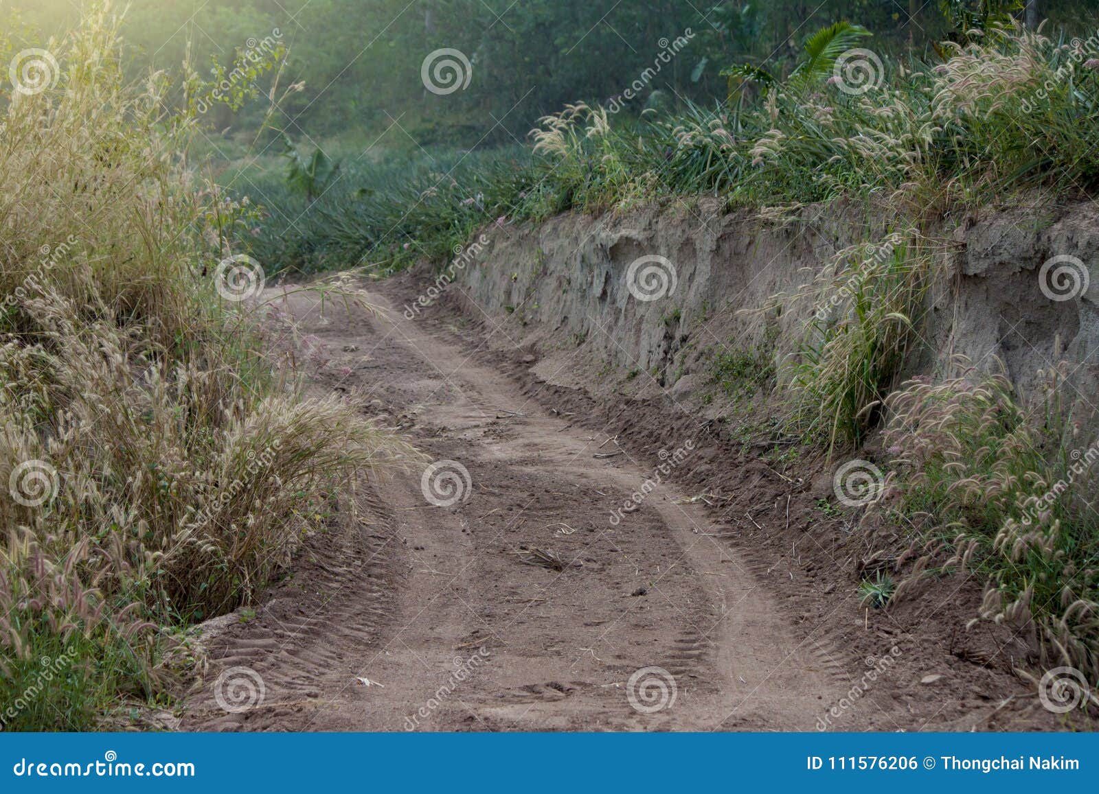 Soil Road up to hill. stock photo. Image of line, mountain - 111576206
