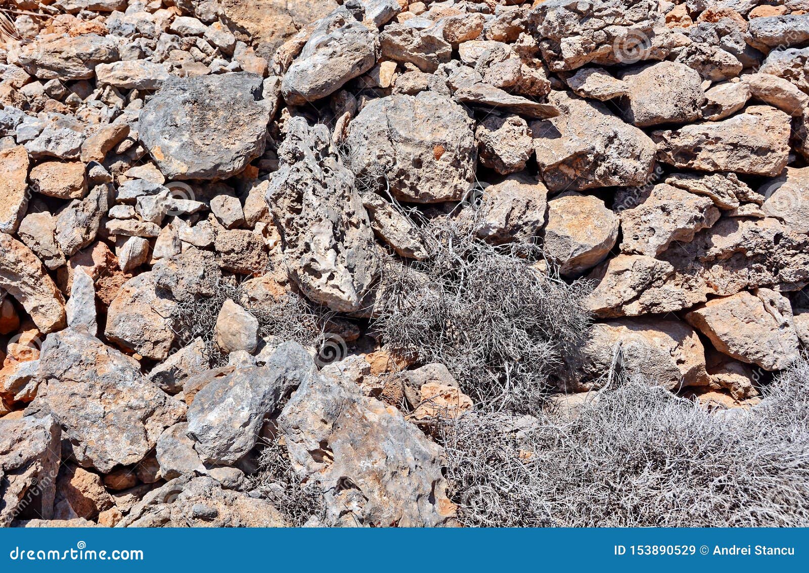 Soil with rocks and arid stock image. Image of layer - 153890529