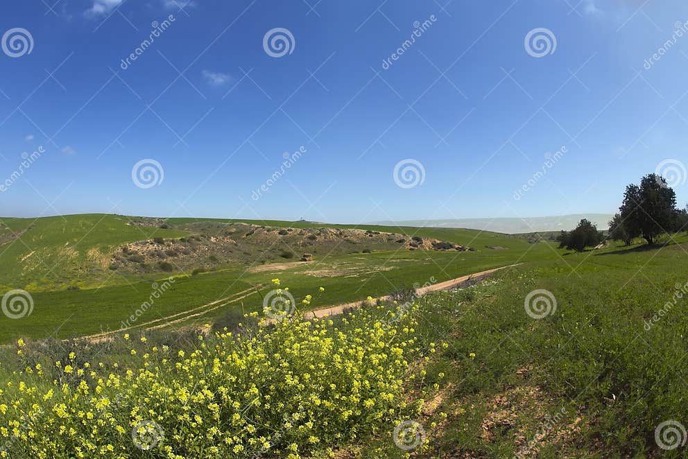 Soil Rural Lane through a Spring Field Stock Photo - Image of road ...