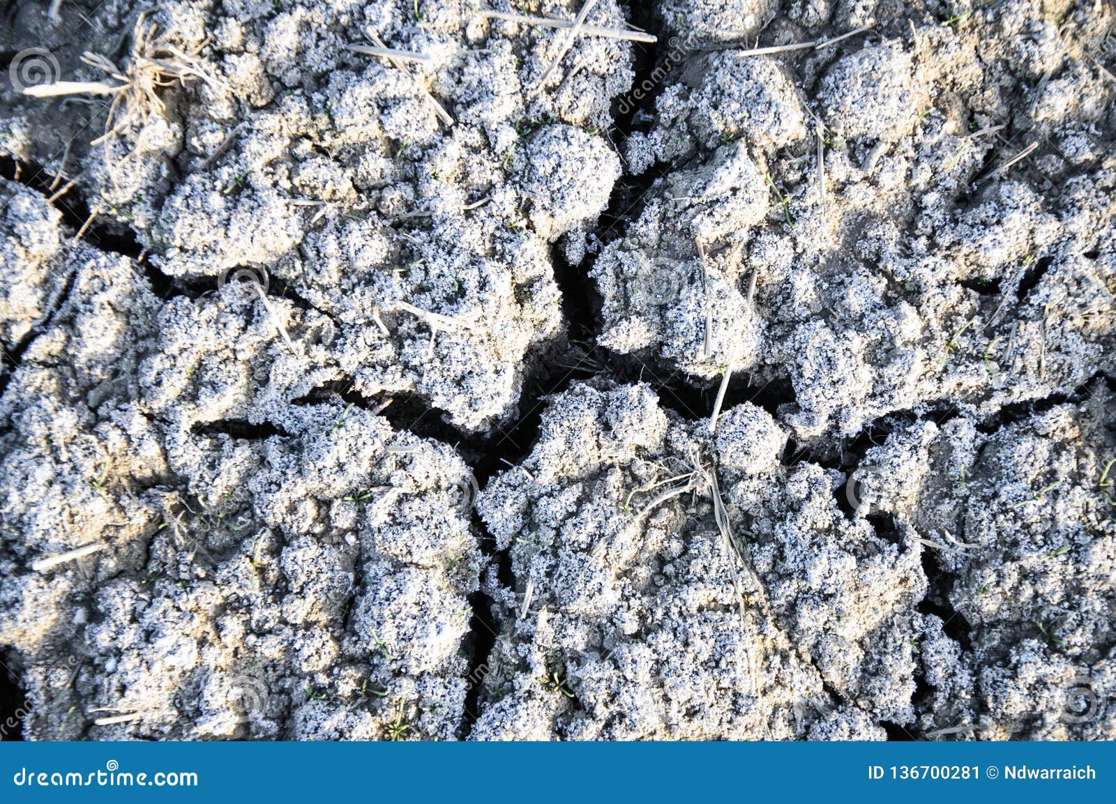 Soil salinity and cracks stock image. Image of background - 136700281