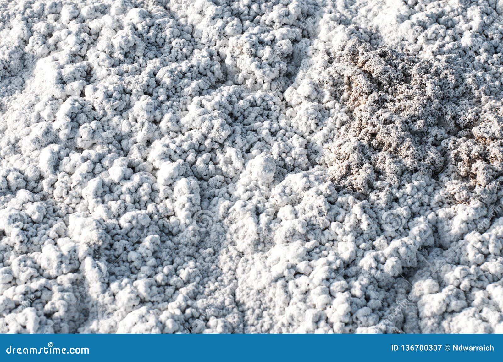 Salt in the soil stock image. Image of cracks, natural - 136700307