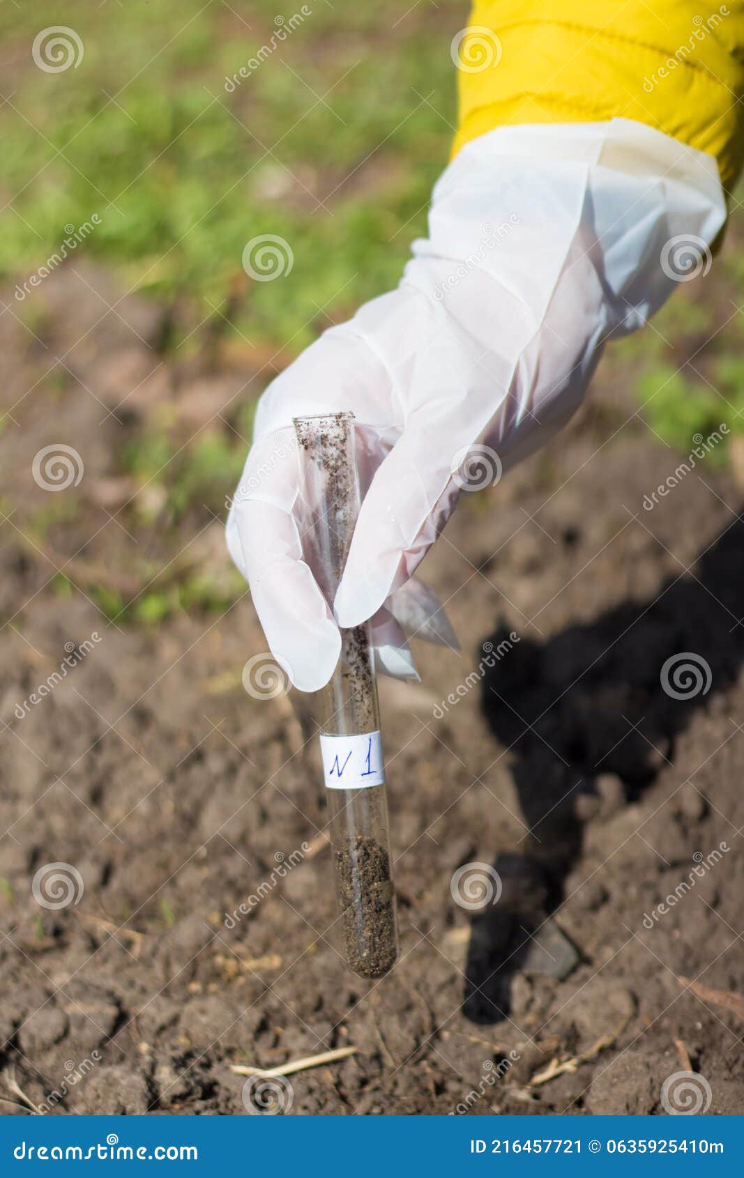 Soil Samples in a Test Tube Stock Image - Image of ecologist ...