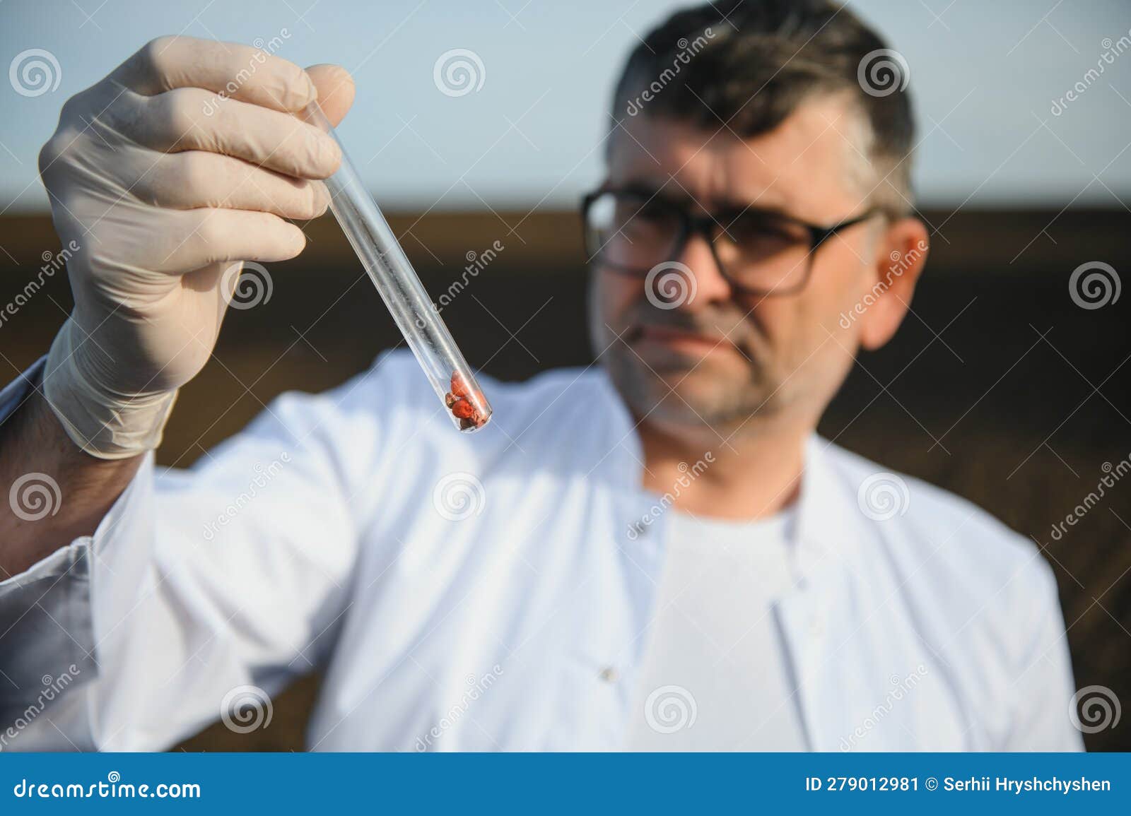 Soil Sampling. Agronomist Taking Sample with Soil Probe Sampler Stock ...