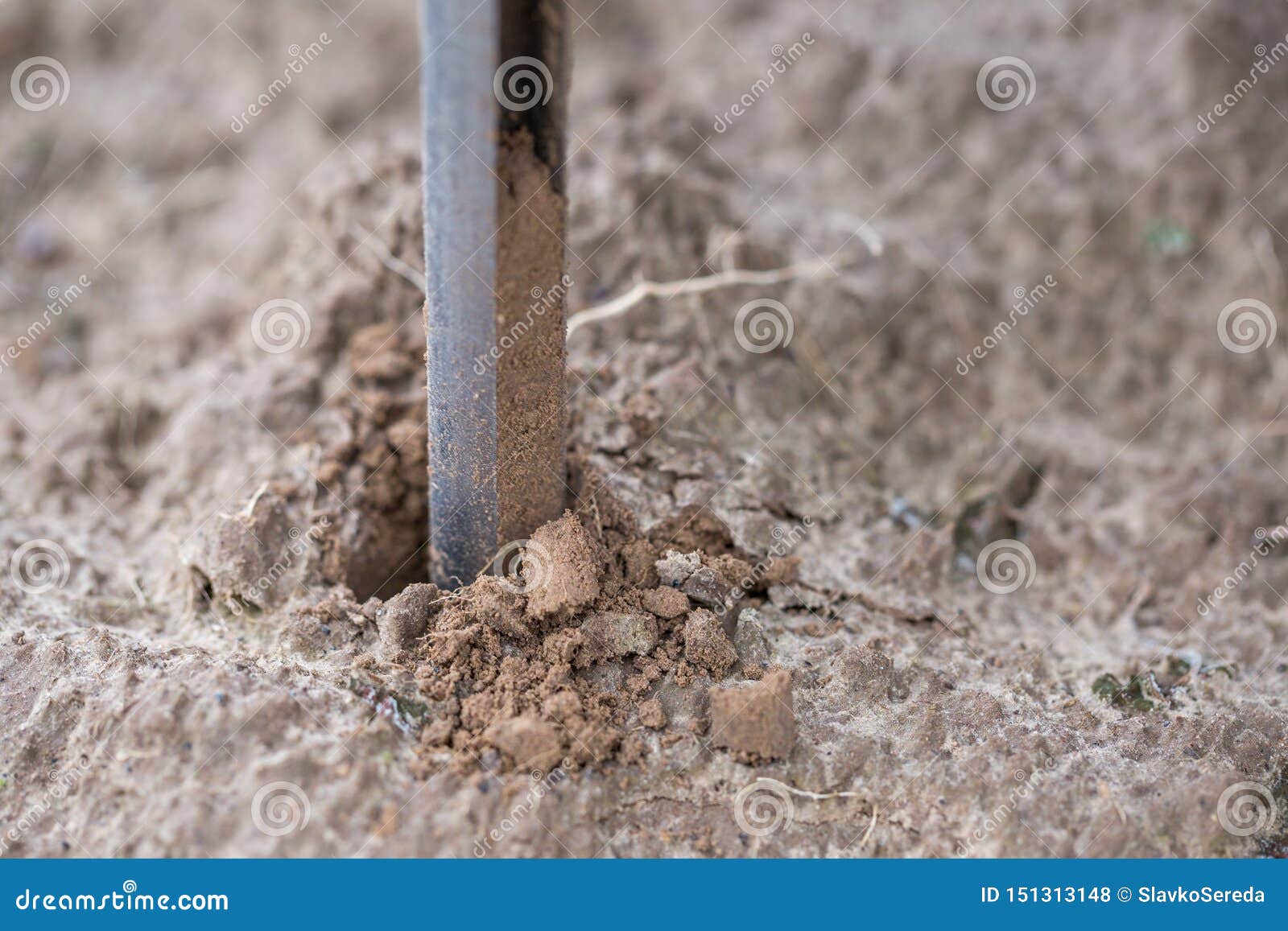 Soil Sampling. Automated Probe for Soil Samples Taking Sample with Soil ...