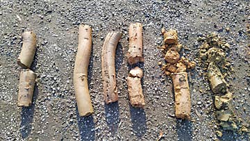 Soil Sampling with Split Spoon Stock Image - Image of drilling, machine ...