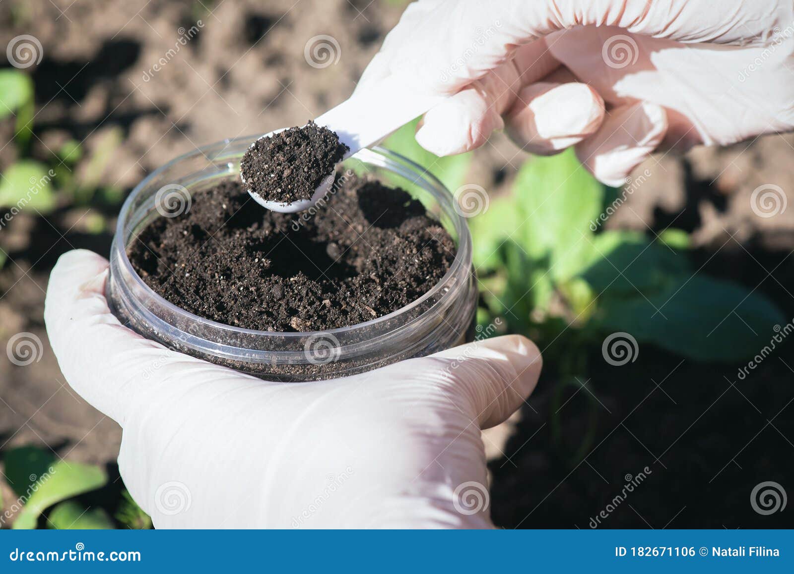 Soil science concept stock photo. Image of gardening - 182671106