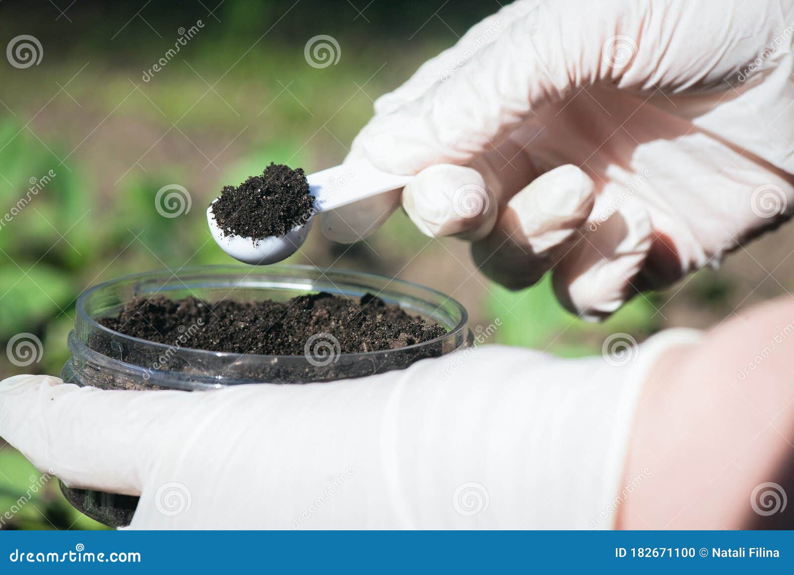 Soil science concept stock photo. Image of holding, pedology - 182671100