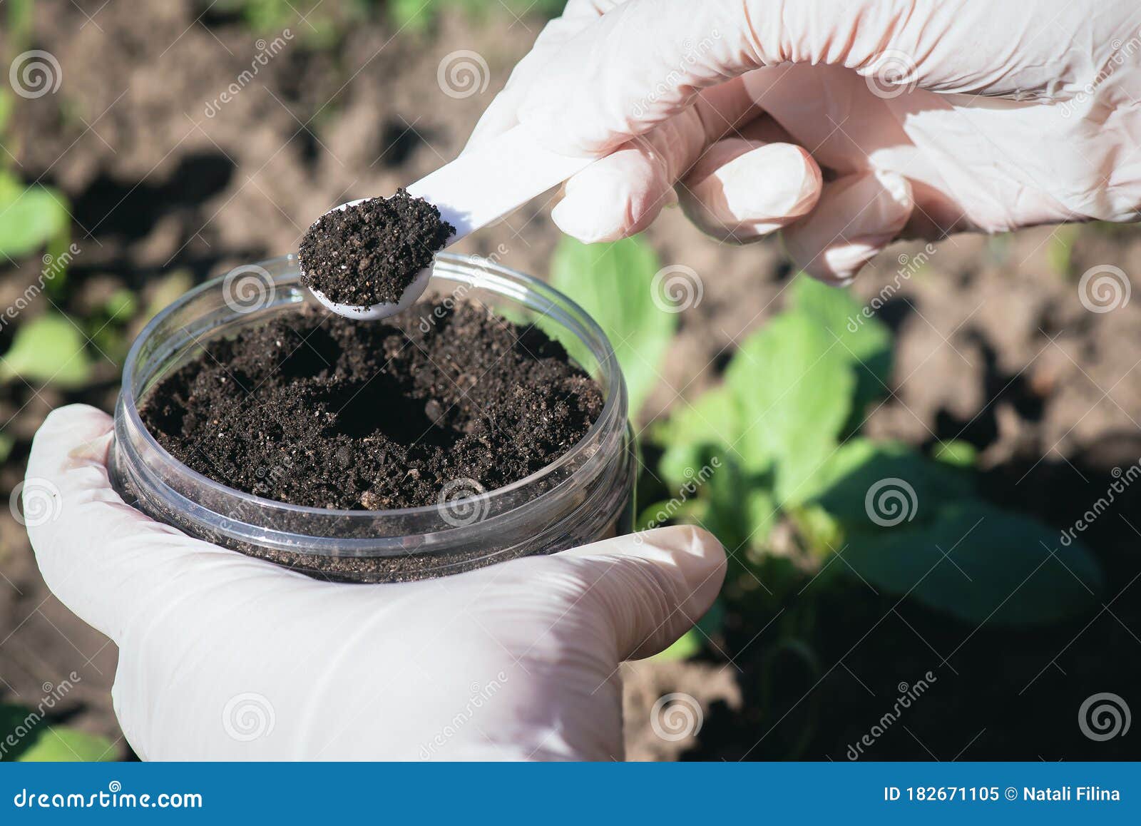 Soil science concept stock image. Image of probe, researching - 182671105